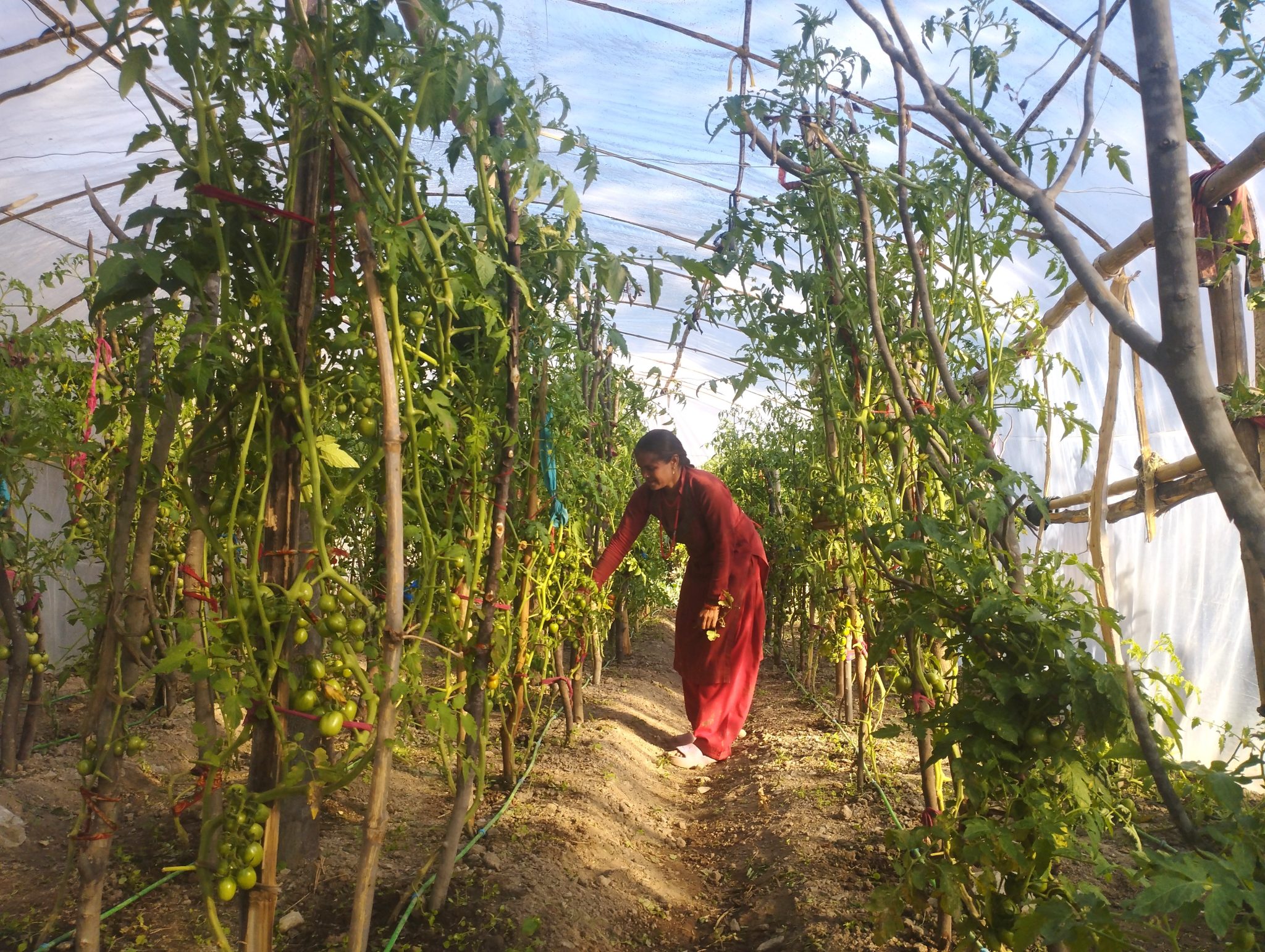 Earning a Good Income in Nepal - Presbyterian World Service & Development